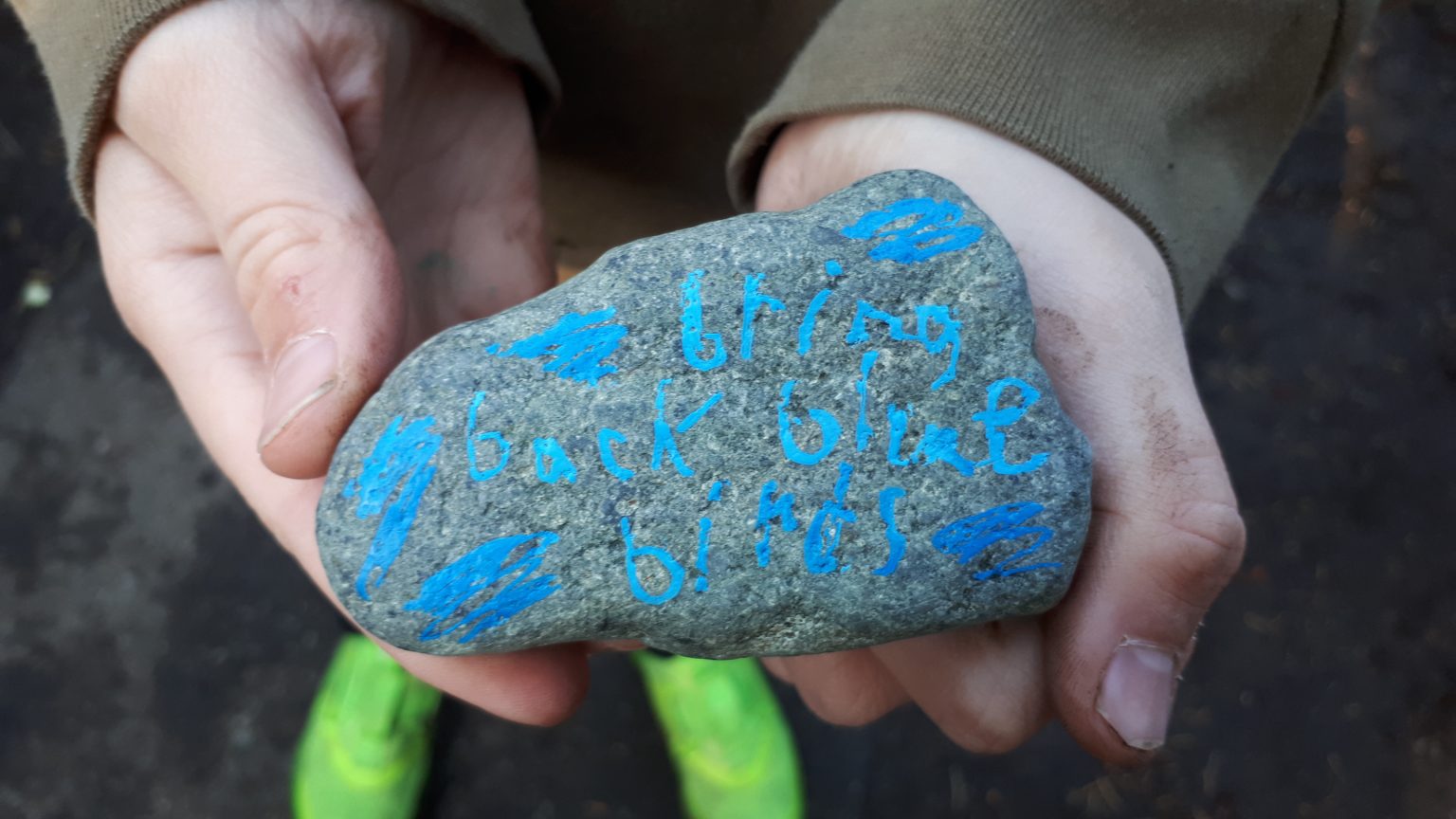 Oak Bay – Carrick Trail trail saved: ‘When neighbours come together ...